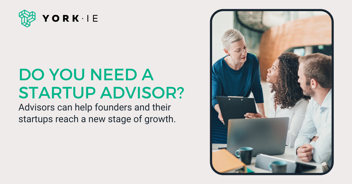What is a Startup Advisor? - York IE