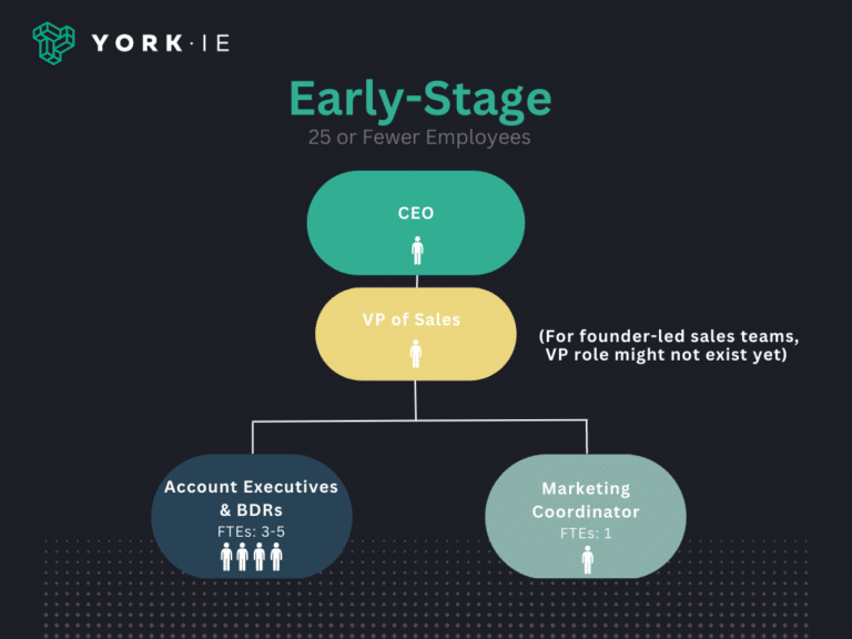 3 Types of Sales Team Structure (+Template) - York IE