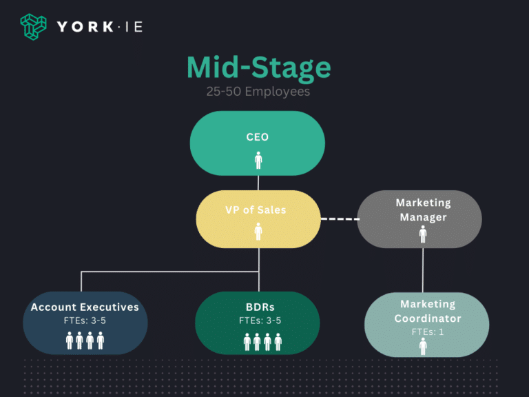 3 Types of Sales Team Structure (+Template) - York IE